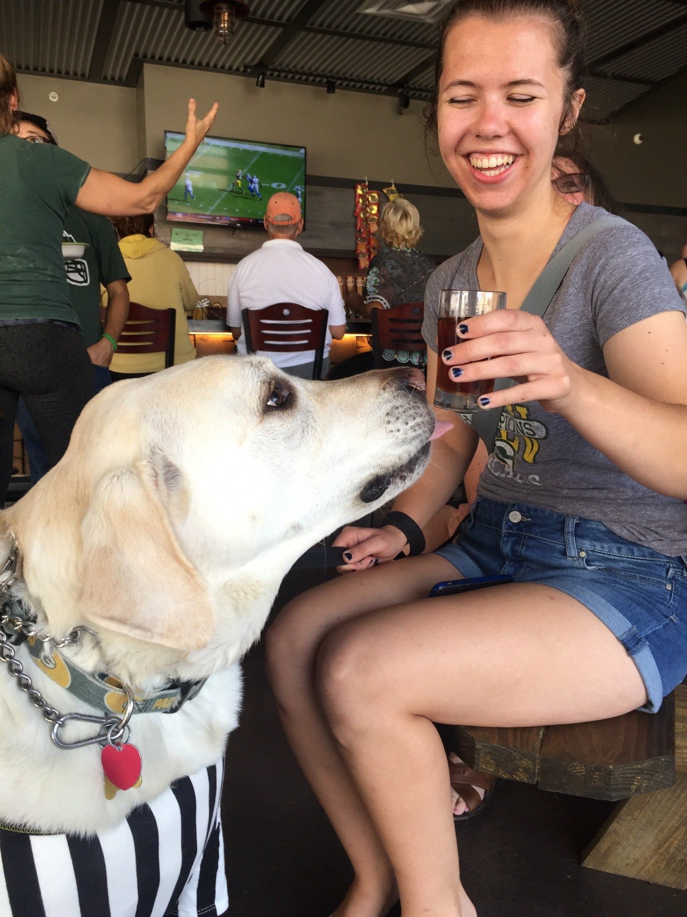 13 Dog-friendly Bars, Restaurants, Patios and Parks in Milwaukee