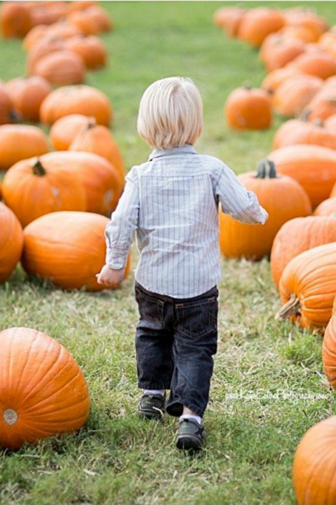 8 Milwaukee-Area Apple Orchards You Should Definitely Visit This Fall