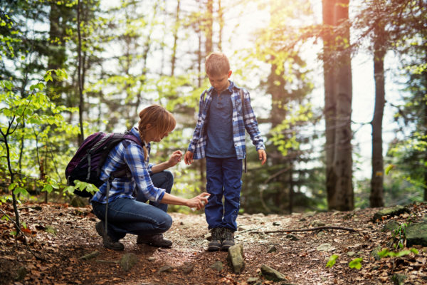 What You Need to Know About Tick Season in Wisconsin
