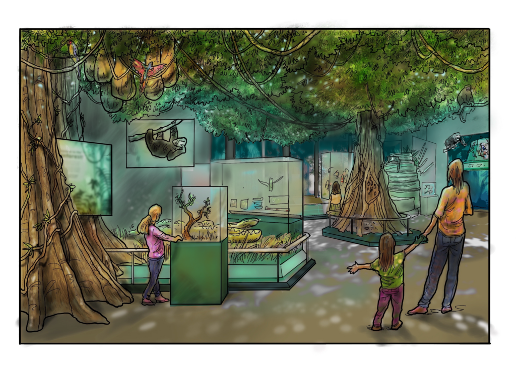 Future MPM’s Rainforest Exhibit | Milwaukee Magazine