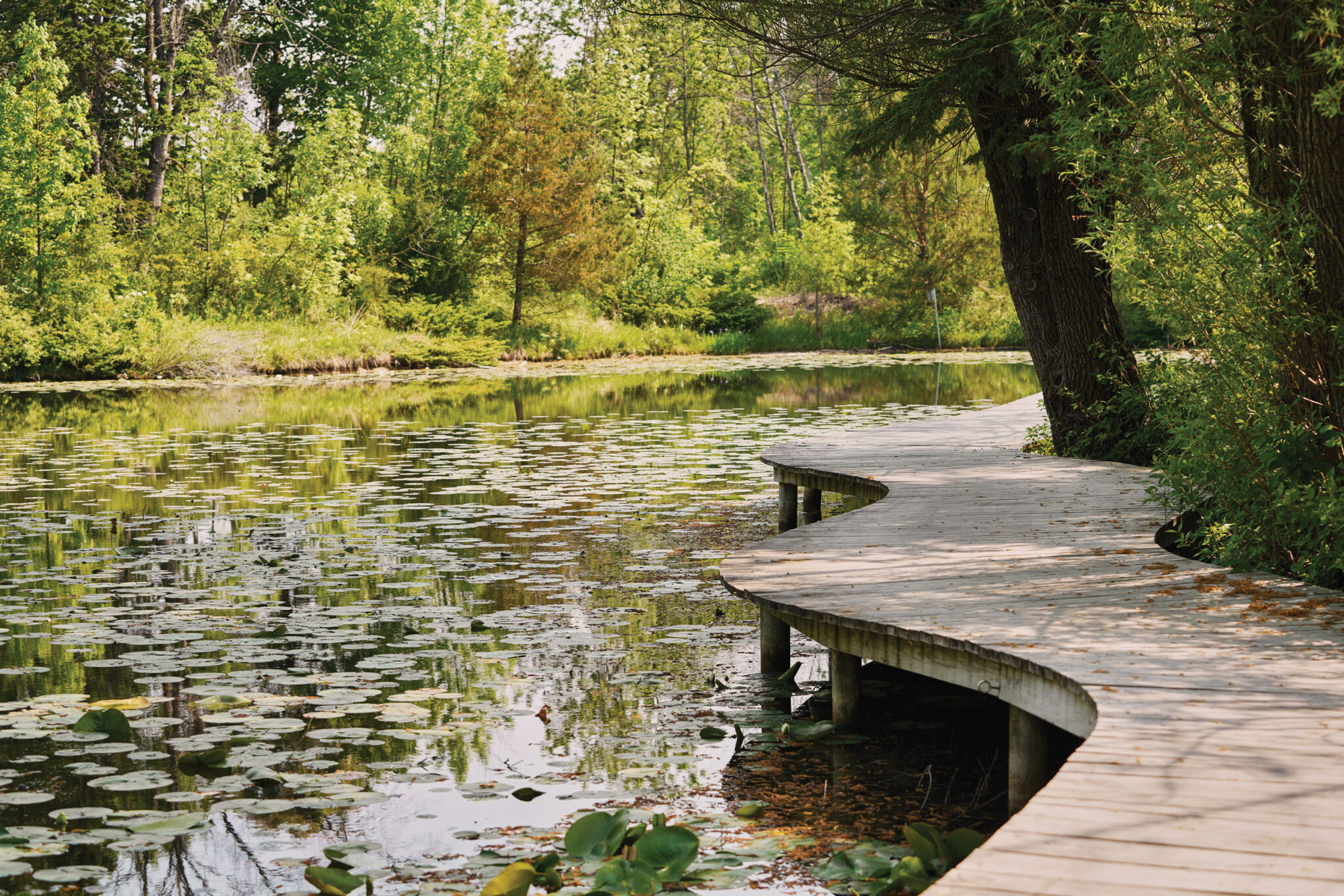 20 Hikes Within an Hour’s Drive | Milwaukee Magazine