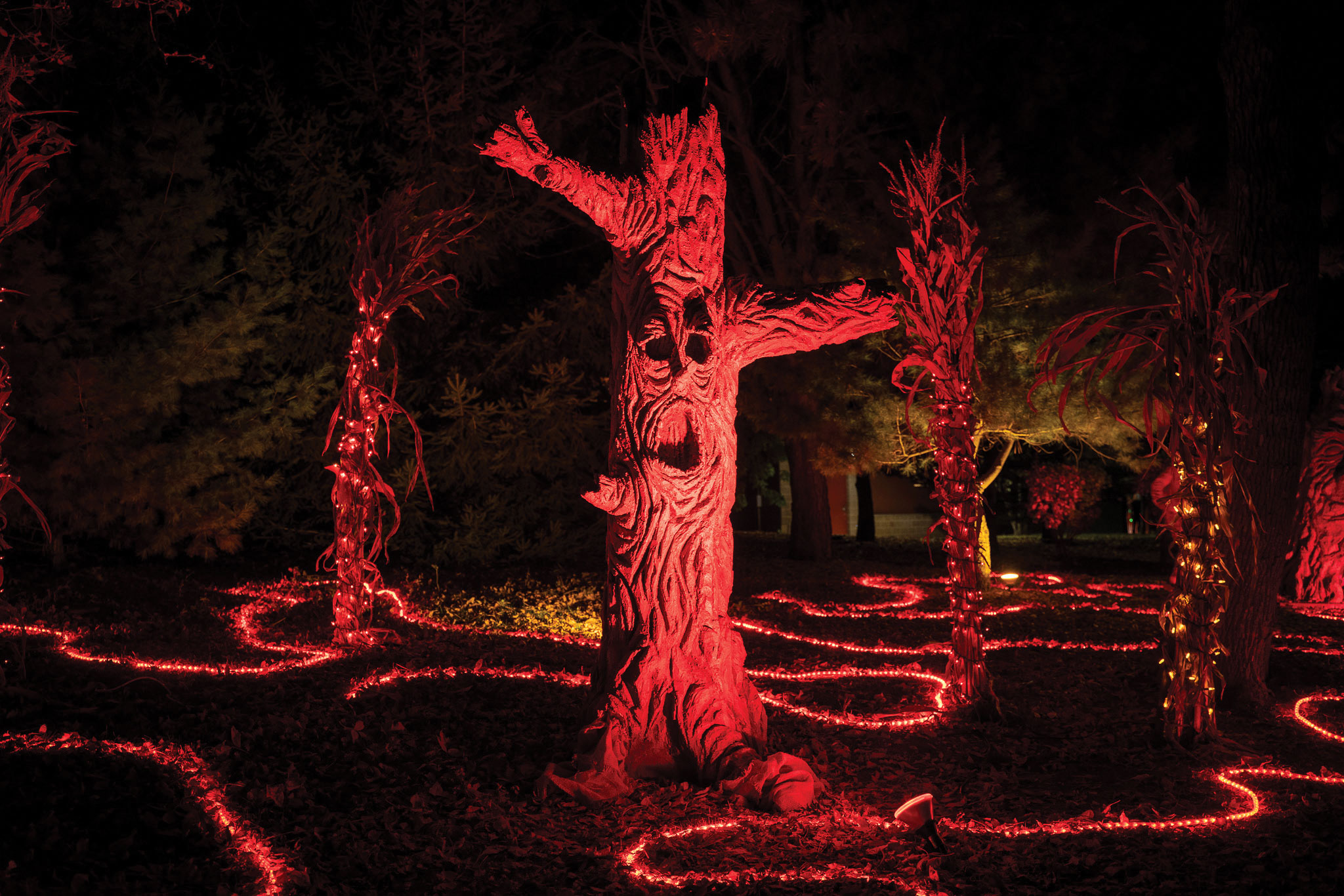 18 Things to Do in Milwaukee This October | Milwaukee Magazine