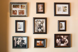 Safina Is the Return of Old Favorites | Milwaukee Magazine