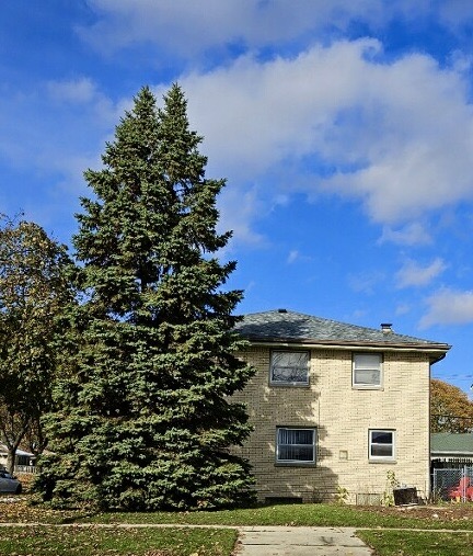 The Story Behind This Year’s Milwaukee Christmas Tree