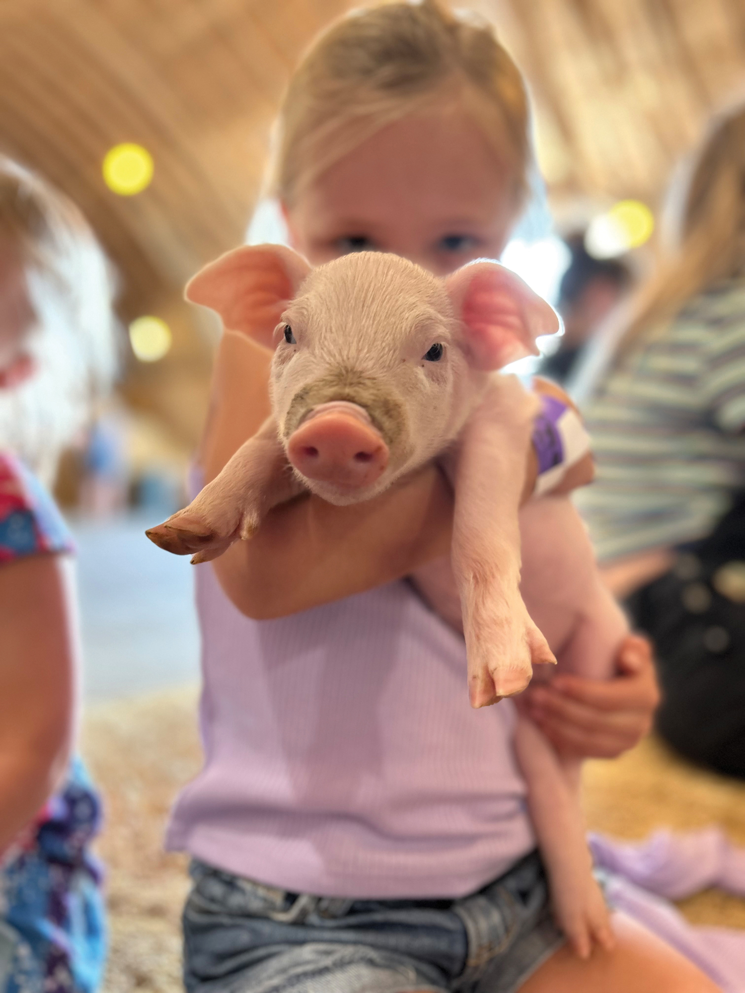 Kelley’s Farmstead Let’s You Hold Baby Farm Animals