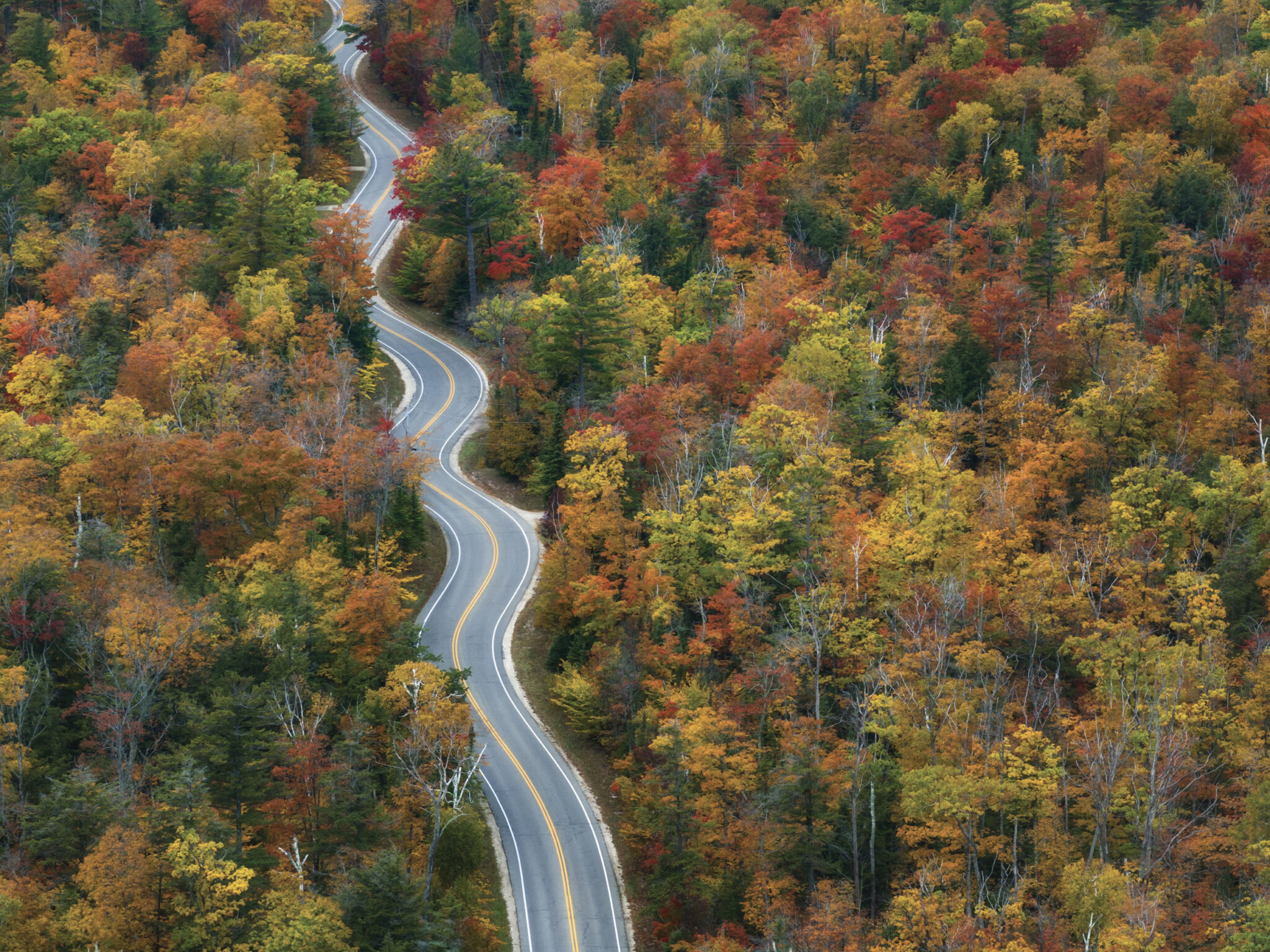Highway 42 in Door County Has One Mile of Curves