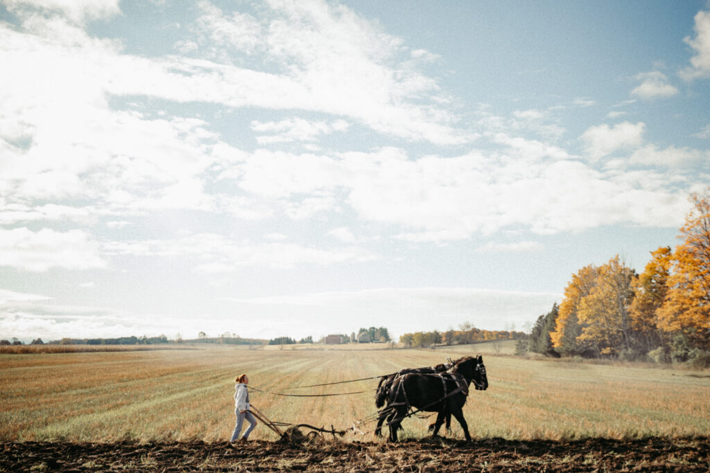 ‘Green and Gold’ Follows a Dairy Farmer That Loves the Packers