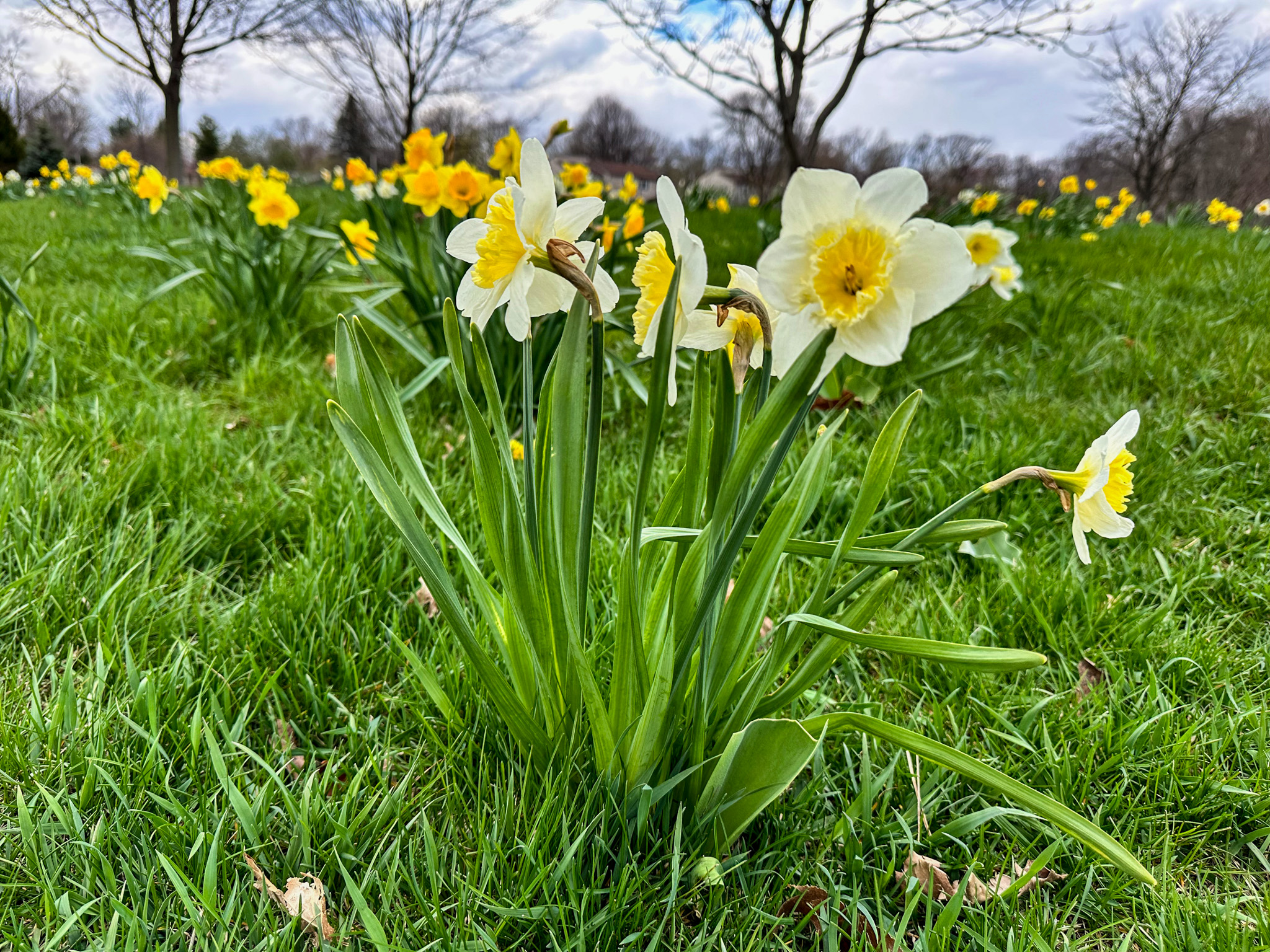 Things to Do for the Spring Equinox in Milwaukee