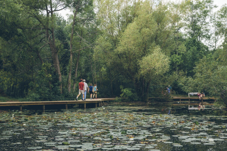 North Shore Community Guide: Things to Do, Places to Eat and More