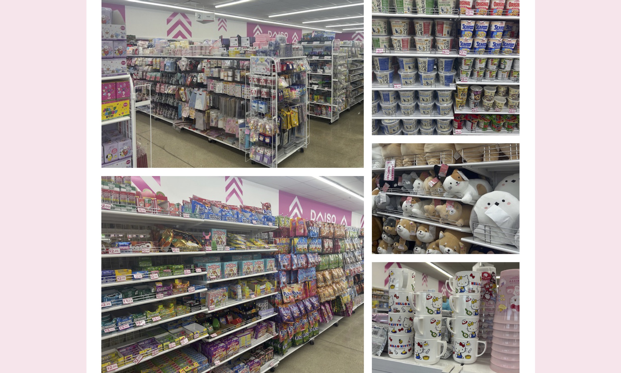 Inside the New Japanese Dollar Store in Kenosha
