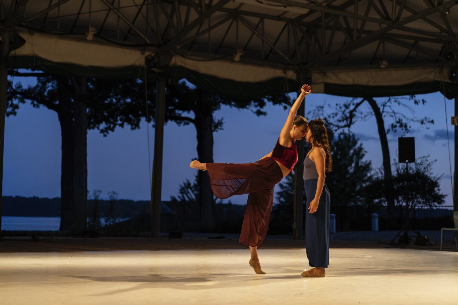 Dawn Springer’s ‘Sylph’ Is Closing Geneva Lake’s Ferro Pavilion