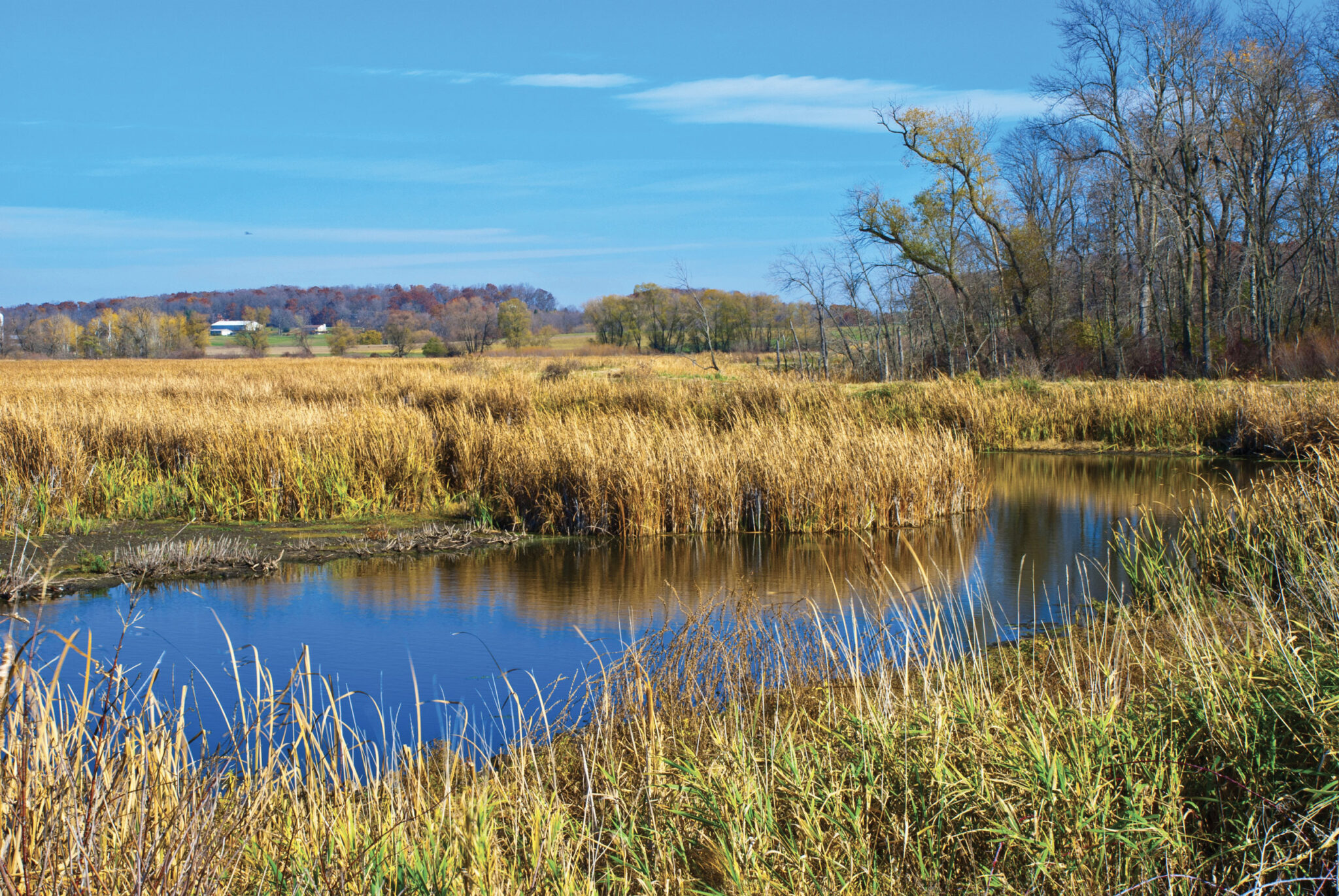 This Might Be the Best Time to Visit Horicon Marsh; Here’s What to Know ...